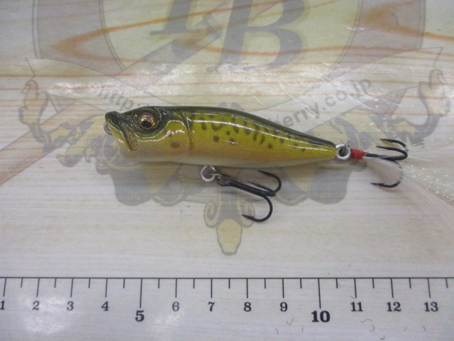 POPX ｳｯﾄﾞ｜TBオークション